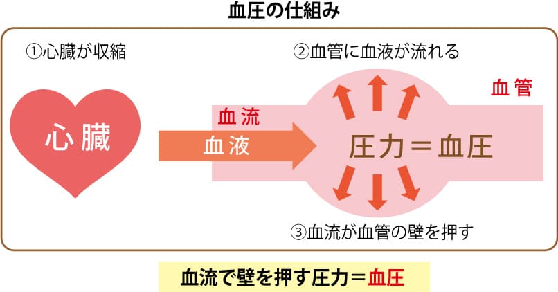 ショックの4つの分類と初期対応